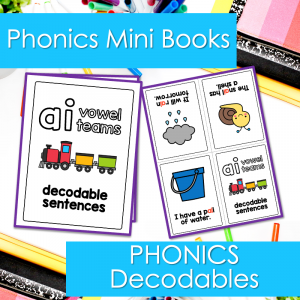 Phonics Decodable Mini Books - Clever School Teacher