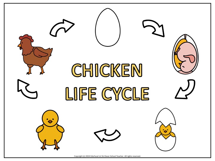 All About Chickens Activity Pack - Clever School Teacher